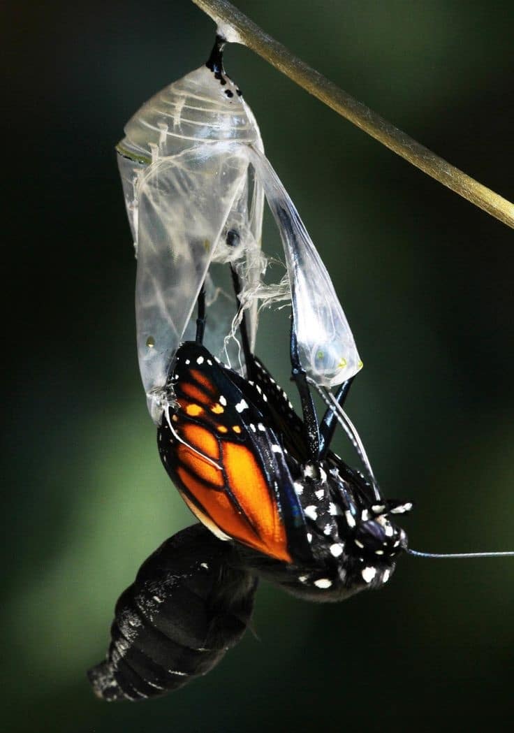 Adapting to Life Changes: Post-Divorce Variations - Paradigm Family Law ...